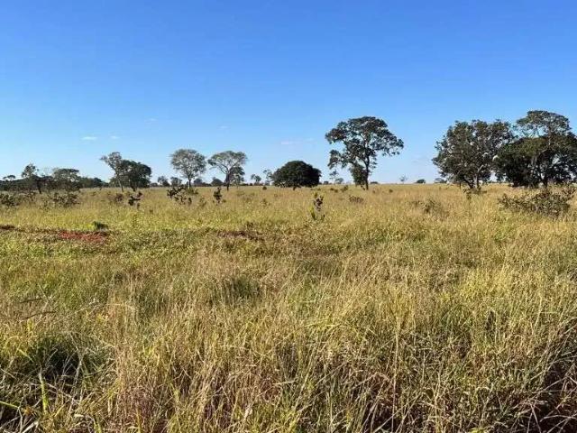 Fazenda para Venda em Campina Verde/MG Zona Rural