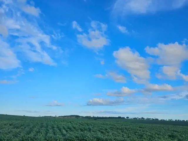 Fazenda para Venda em Campina Verde/MG Zona Rural