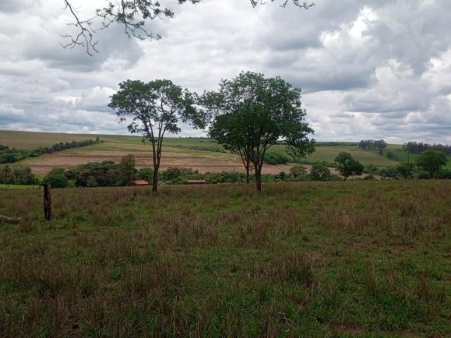 Fazenda para Venda em Campina Verde/MG Zona Rural