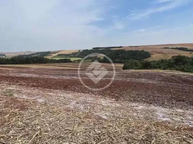 Fazenda para Venda em Campina da Lagoa/PR Centro