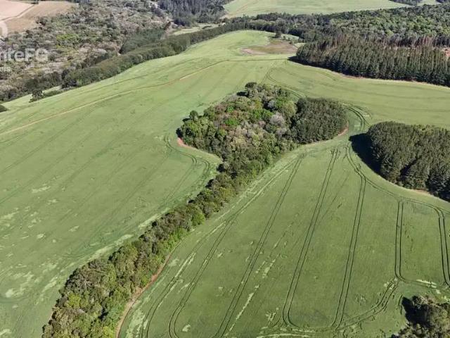 Fazenda para Venda em Campina do Simão/PR Zona Rural
