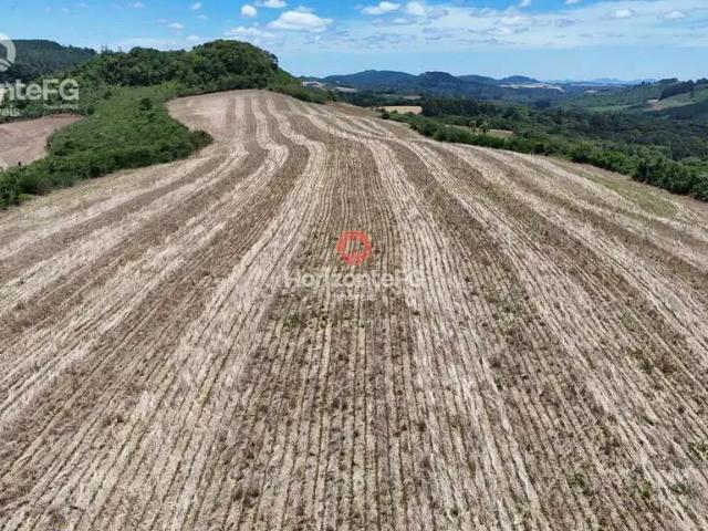 Fazenda para Venda em Campina do Simão/PR Zona Rural