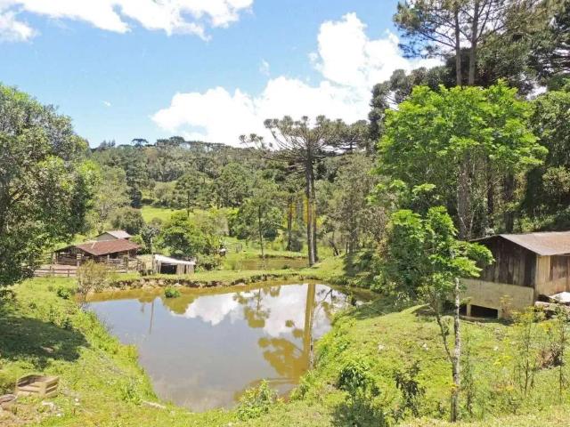 Fazenda para Venda em Campina Grande do Sul/PR Taquari 2 Quartos