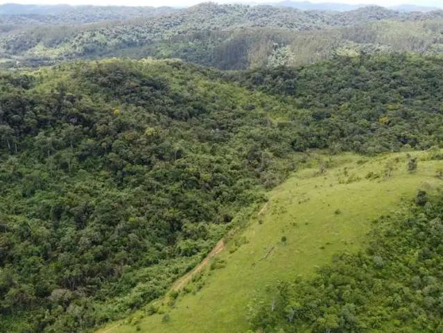Fazenda para Venda em Campina Grande do Sul/PR Zona Rural 4 Quartos