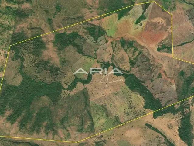 Fazenda para Venda em Campinápolis/MT Zona Rural