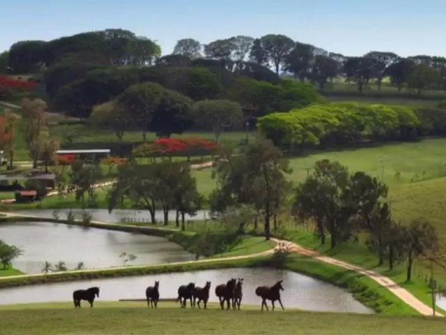 Fazenda para Venda em Campinas/SP Bosque de Barão Geraldo