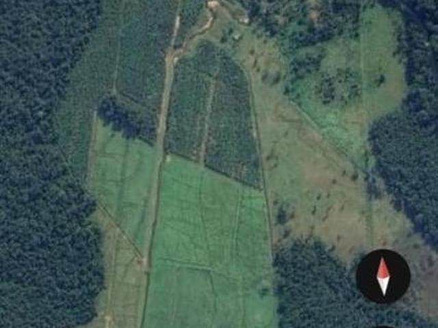 Fazenda para Venda em Cananéia, AREA RURAL, 3 dormitórios, 1 suíte, 1 banheiro, 3 vagas