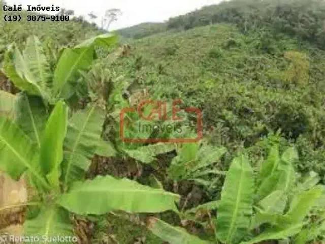Fazenda para Venda em Cananéia/SP Itapitangui 1 Quartos