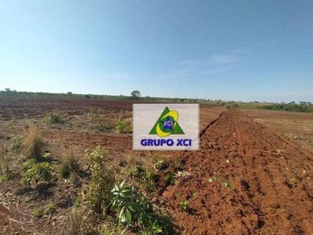 Fazenda para venda em Canarana