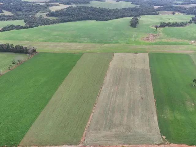 Fazenda para Venda em Cândido de Abreu/PR Zona Rural