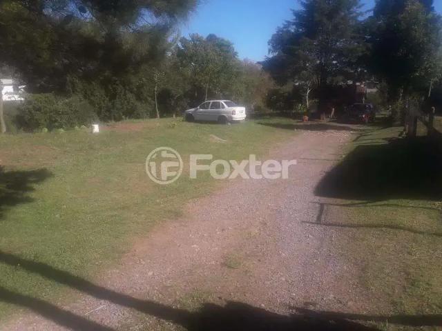 Fazenda para Venda em Canela/RS Moinho 3 Quartos