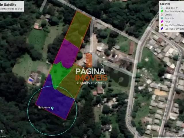 Fazenda para Venda em Canela/RS Zona Rural 1 Quartos