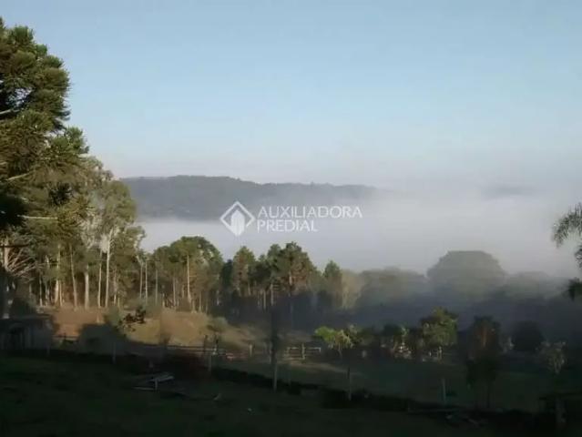 Fazenda para Venda em Canela/RS Zona Rural