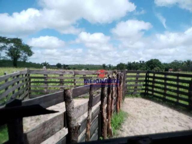 Fazenda para Venda em Cantanhede/MA Zona Rural 1 Quartos