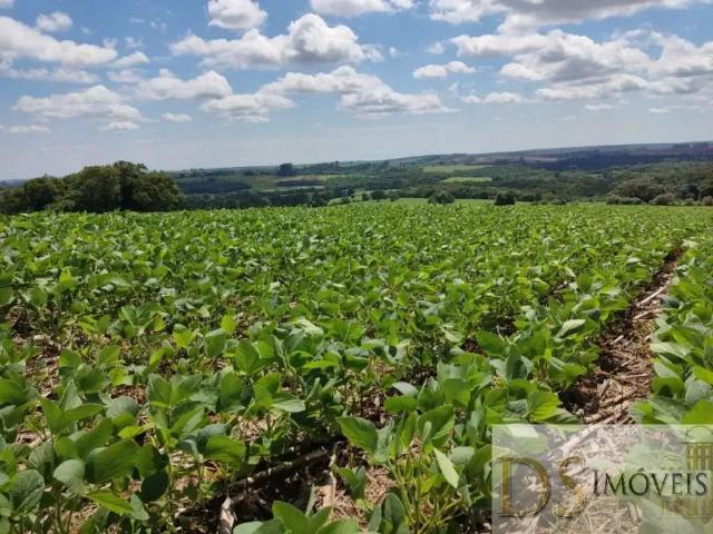Fazenda para Venda em Capão Bonito/SP Centro