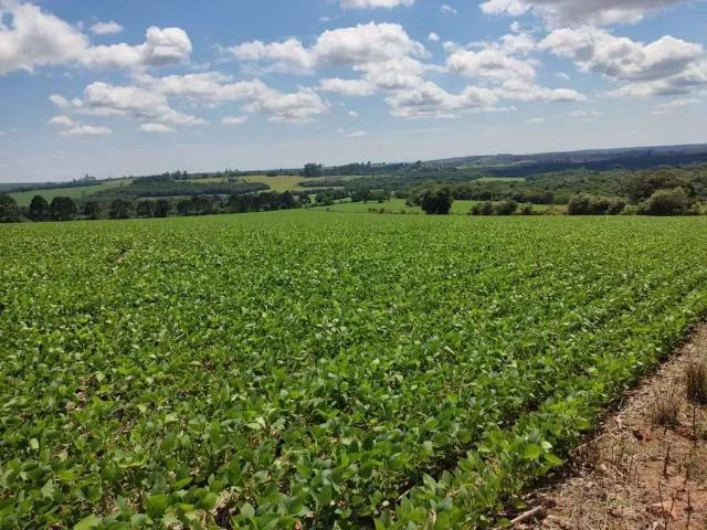 Fazenda para Venda em Capão Bonito/SP Centro