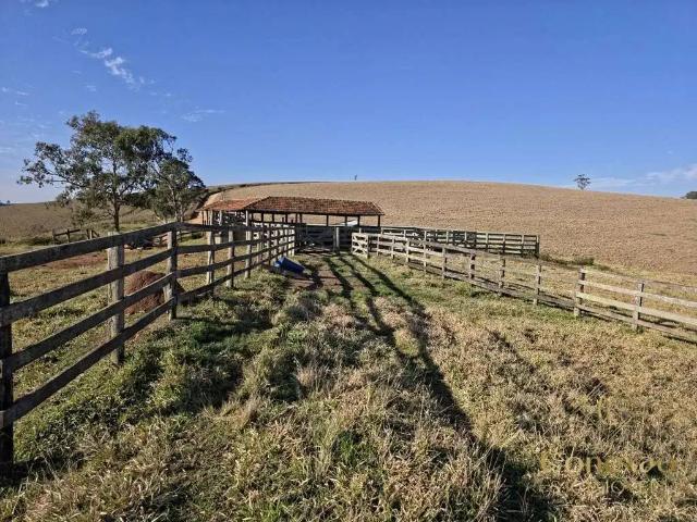 Fazenda para Venda em Capão Bonito/SP Centro