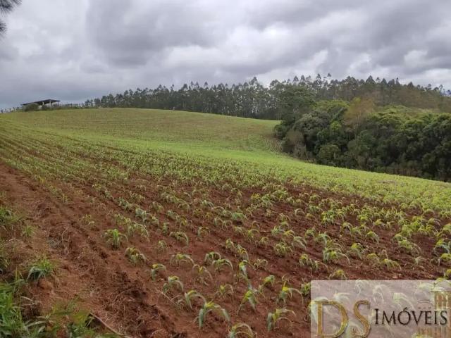 Fazenda para Venda em Capão Bonito/SP Centro