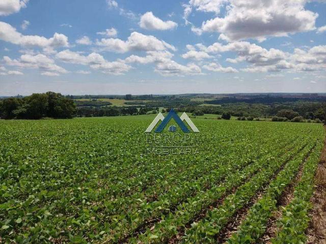 Fazenda para Venda em Capão Bonito/SP Área Rural de Capão Bonito