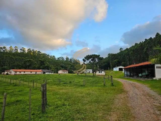 Fazenda para Venda em Capão Bonito/SP Área Rural de Capão Bonito 4 Quartos