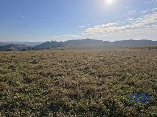 Fazenda para Venda em Capão Bonito/SP Distrito Industrial 1 Quartos