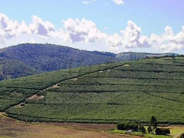 Fazenda para Venda em Capelinha/MG Centro 10 Quartos
