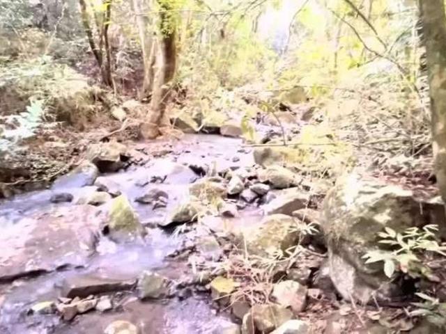 Fazenda para Venda em Caraá/RS Zona Rural