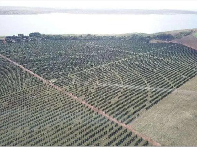 Fazenda para Venda em Cardoso/SP Zona Rural 3 Quartos