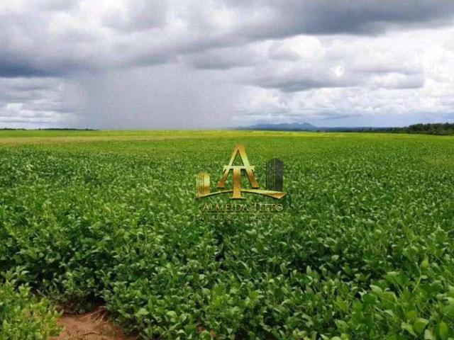 Fazenda para Venda em Carolina/MA Alto da Colina 1 Quartos