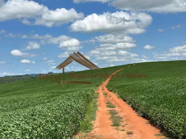 Fazenda para Venda em Carlópolis/PR Zona Rural