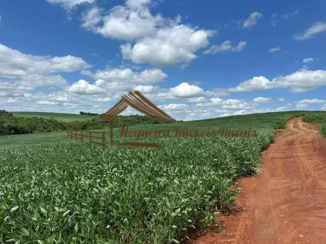 Fazenda para Venda em Carlópolis/PR Zona Rural