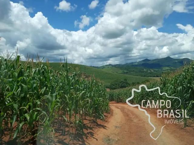Fazenda para Venda em Carmo de Minas/MG Zona Rural