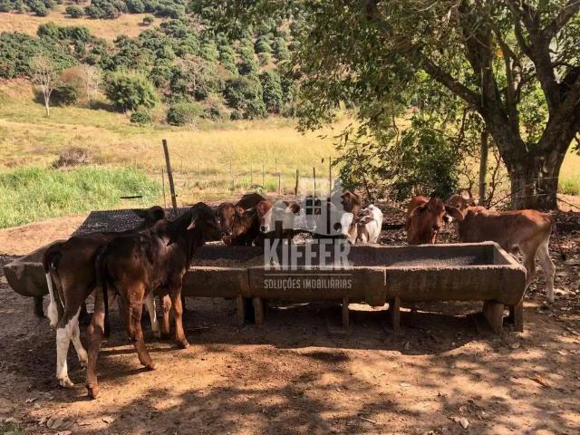 Fazenda para Venda em Carmo/RJ Santo Antonio 2 Quartos