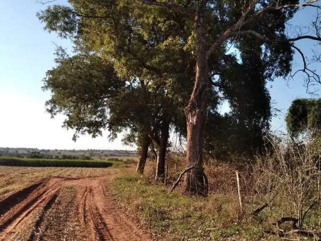 Fazenda para Venda em Carneirinho/MG Zona Rural