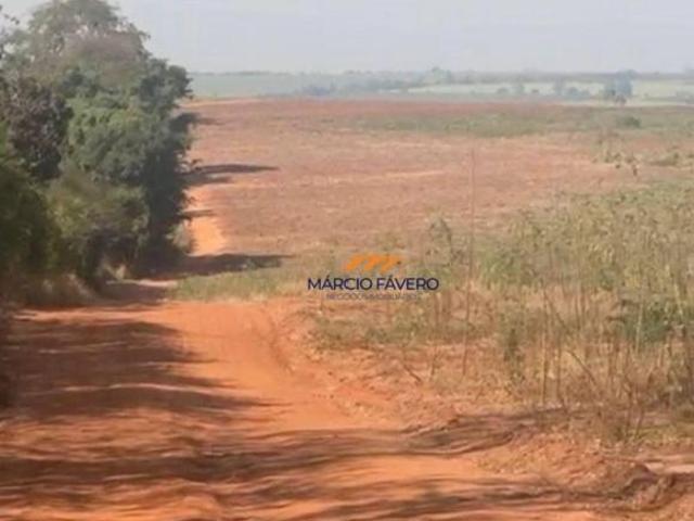 Fazenda para venda em Casa Branca