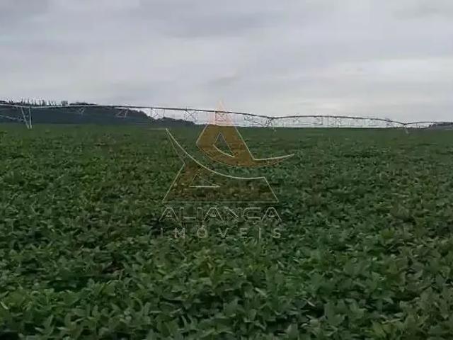 Fazenda para Venda em Casa Branca/SP Zona Rural 1 Quartos