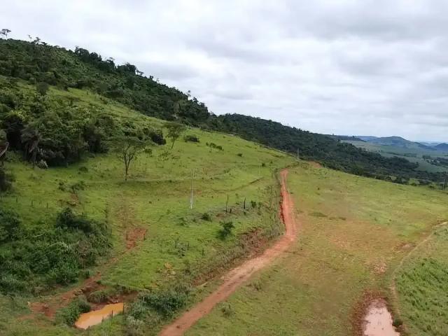 Fazenda para Venda em Casa Branca/SP Zona Rural