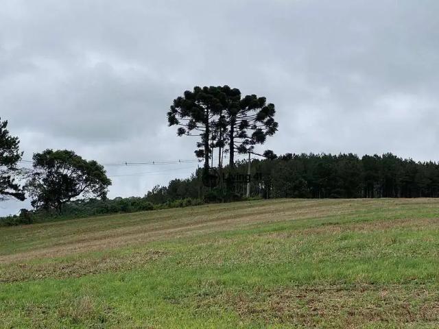Fazenda para Venda em Castro/PR Bom Sucesso