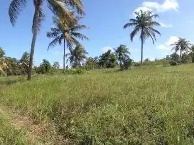 Fazenda para Venda em Ceará Mirim/RN Muriú