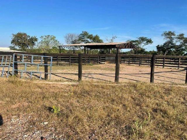 Fazenda para Venda em Centenário/TO Zona Rural