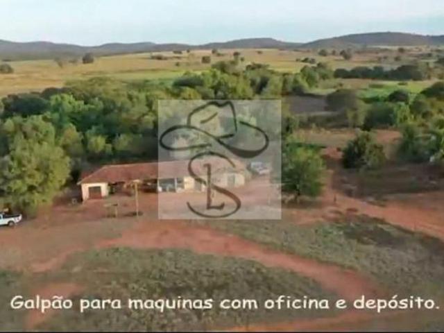 Fazenda para venda em Centro, Manga