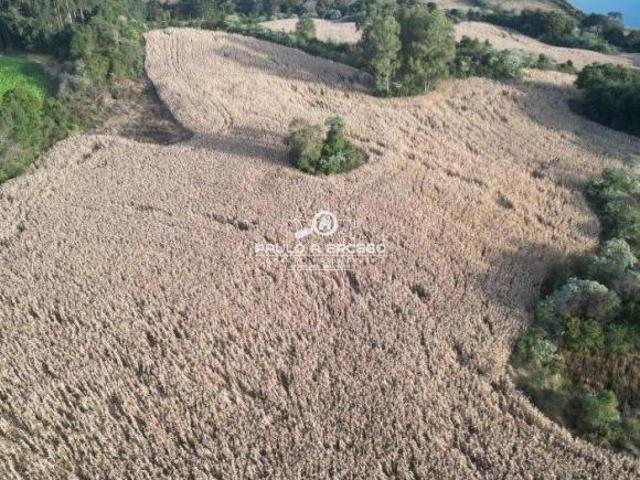 Fazenda para venda em Centro, Marmeleiro