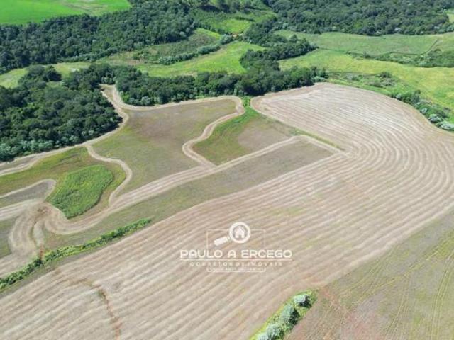 Fazenda para venda em Centro, Marmeleiro