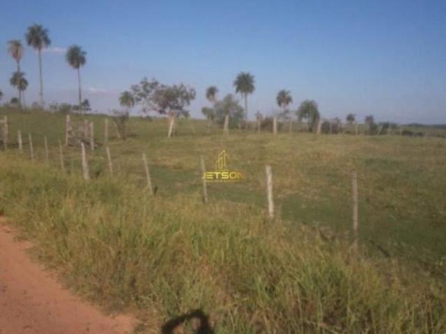Fazenda para venda em Centro, Marília