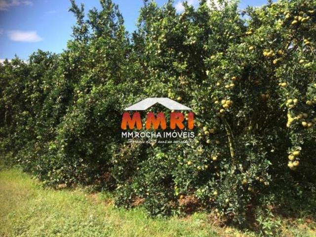 Fazenda para venda em Centro, Marília