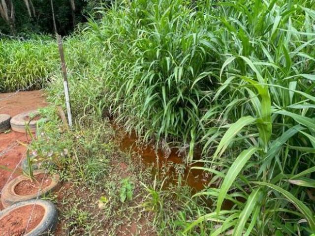 Fazenda para venda em Centro, Mário Campos
