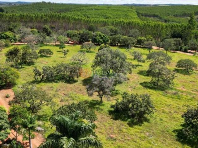 Fazenda para venda em Centro, Matozinhos
