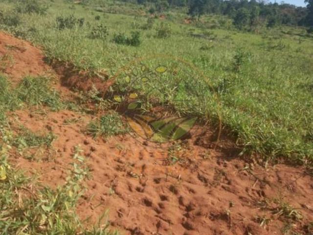 Fazenda para venda em Centro, Mineiros