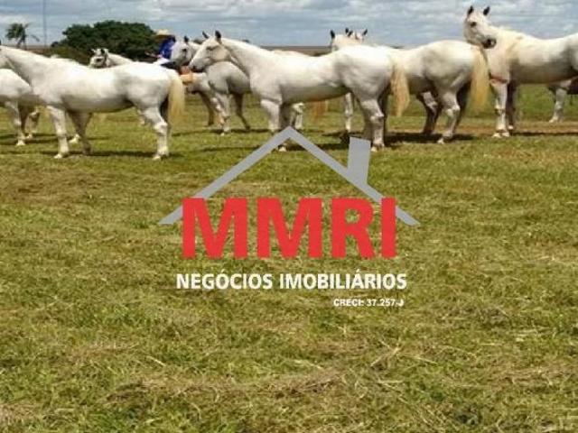 Fazenda para venda em Centro, Miranda
