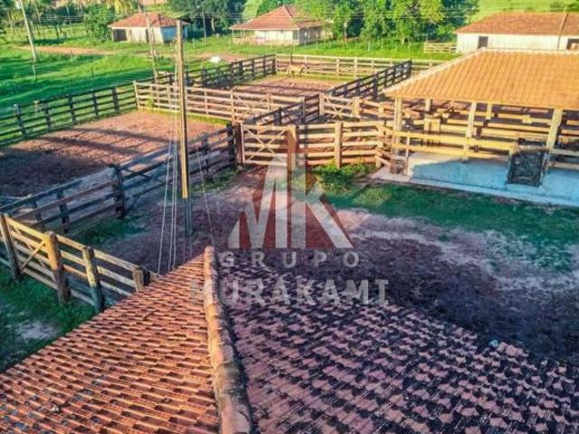 Fazenda para venda em Centro, Mirante do Paranapanema